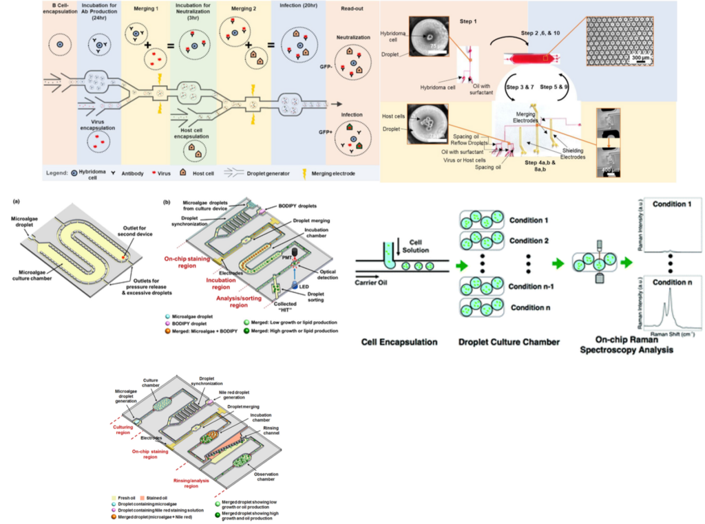 High-throughput Screening