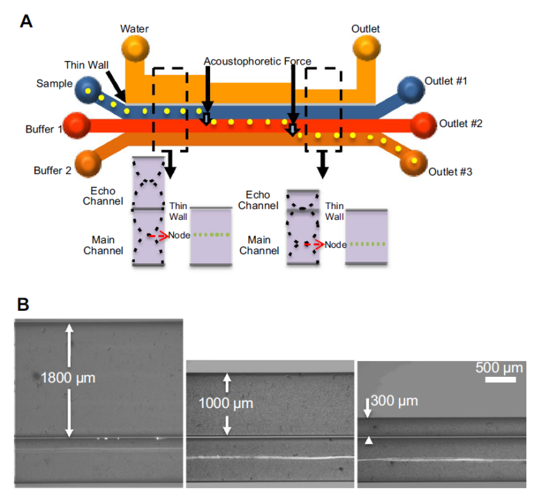 High-throughput single-cell-resolution microfluidic technical development