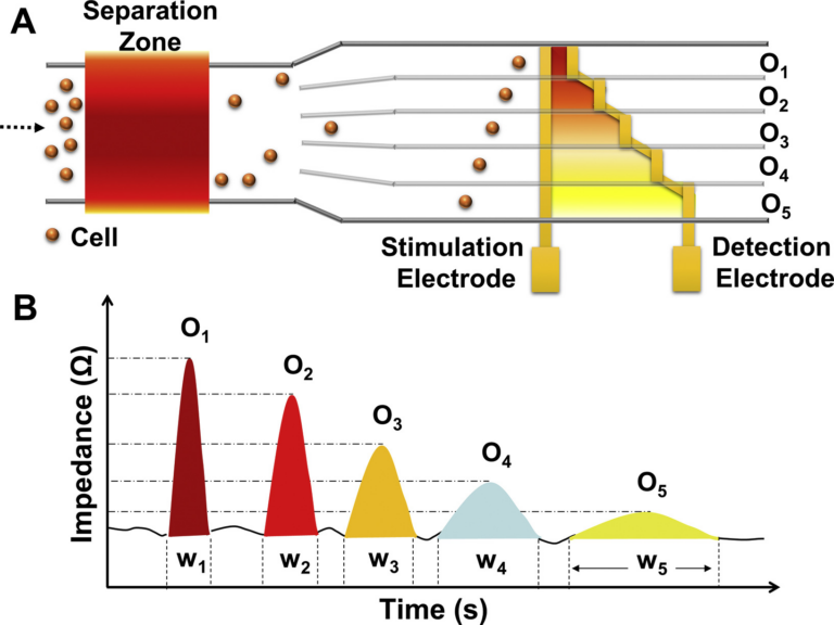 High-throughput single-cell-resolution microfluidic technical development